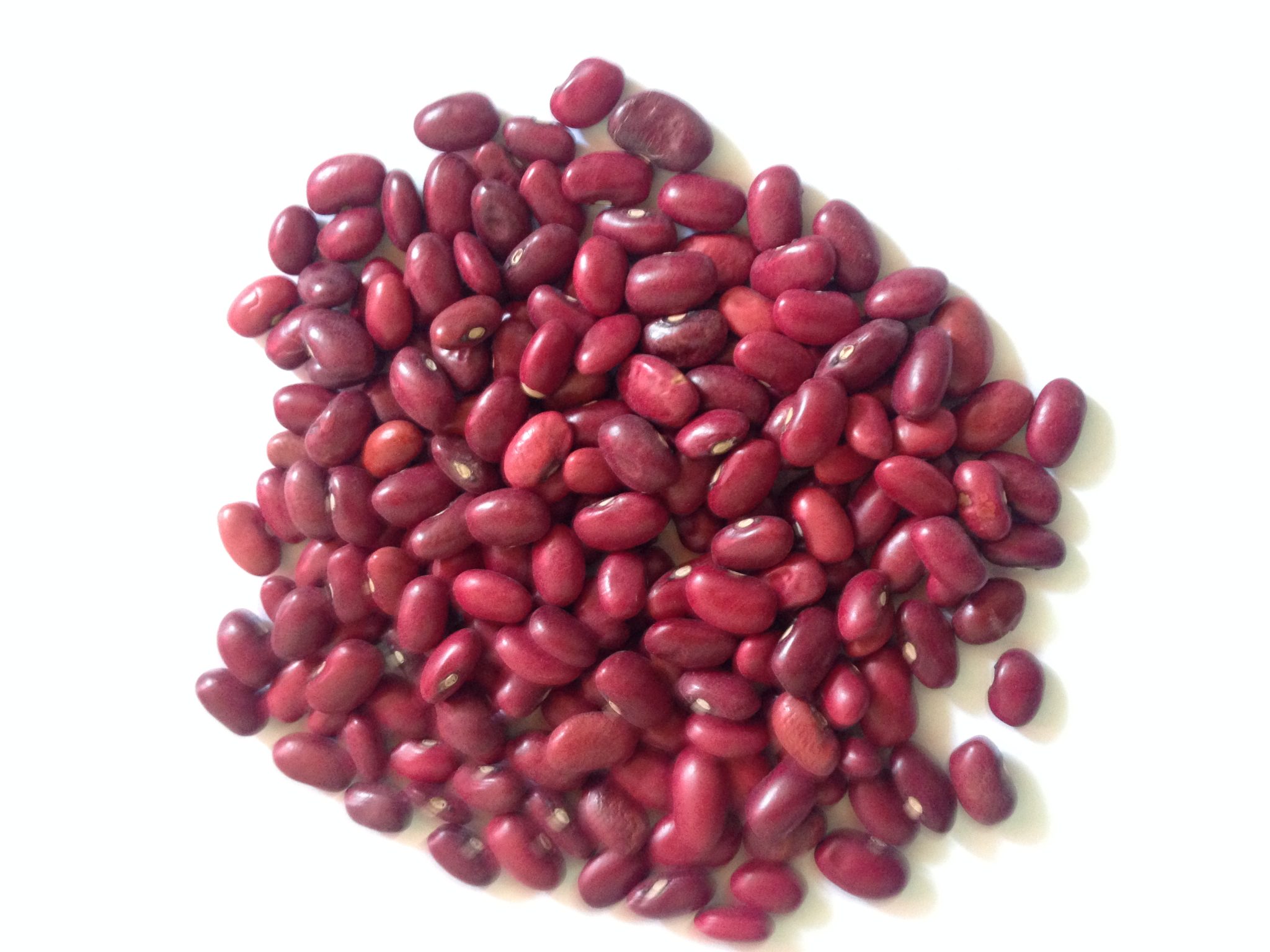 Hajuta Exports Cereal Products - Hajuta Trading PLC | Ethiopian ...